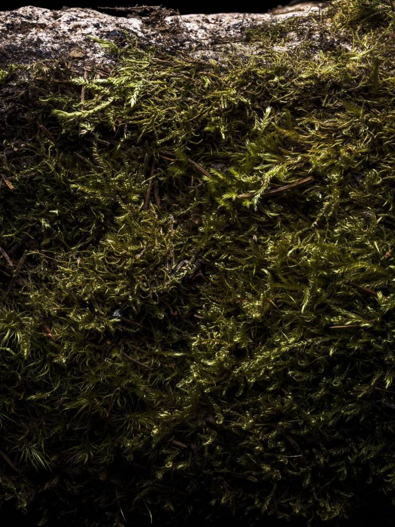 Why Material Innovation Is Pivotal For Fashion’s Sustainability ...